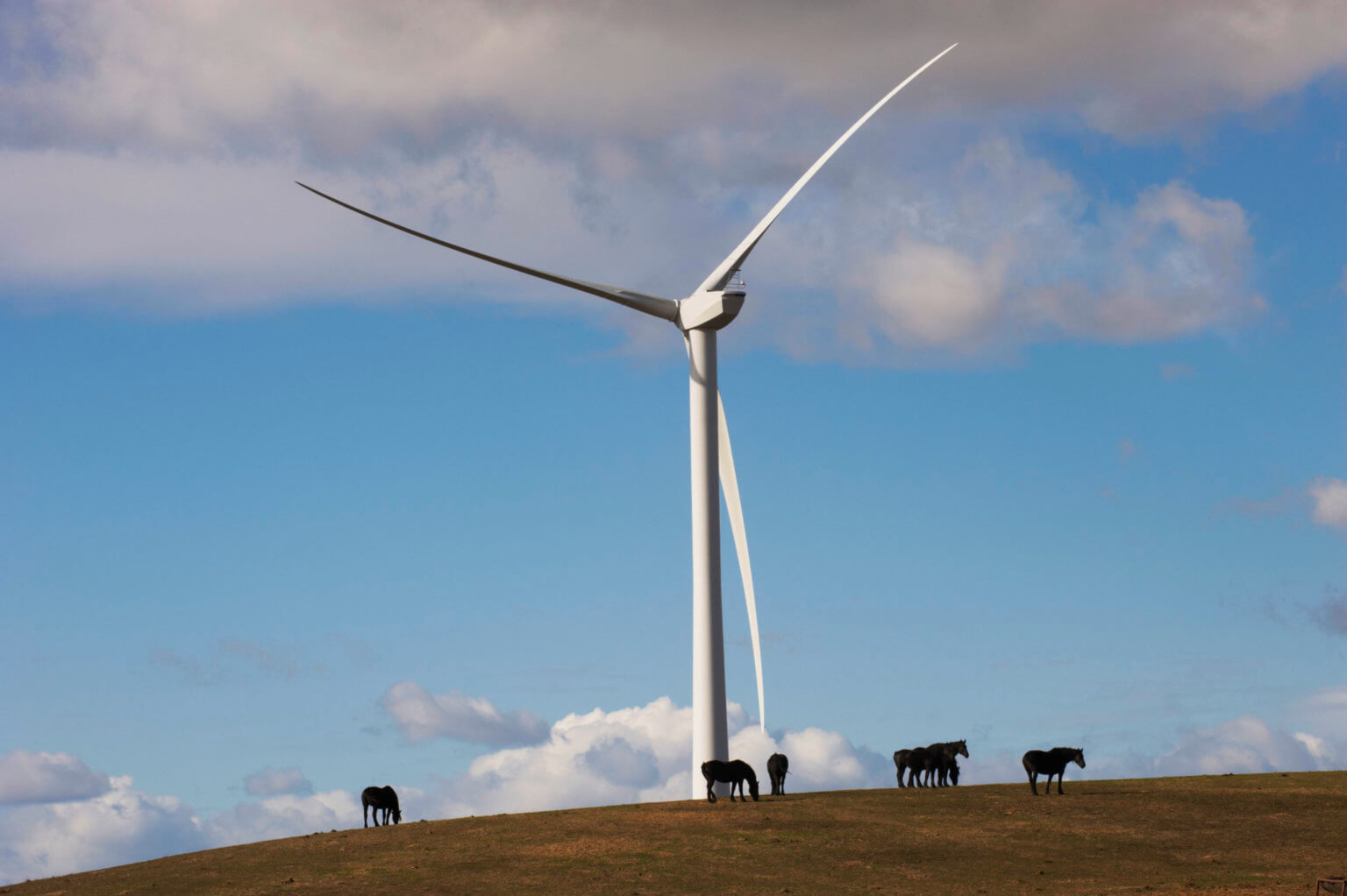 Wind Power Facts and Statistics | ACP