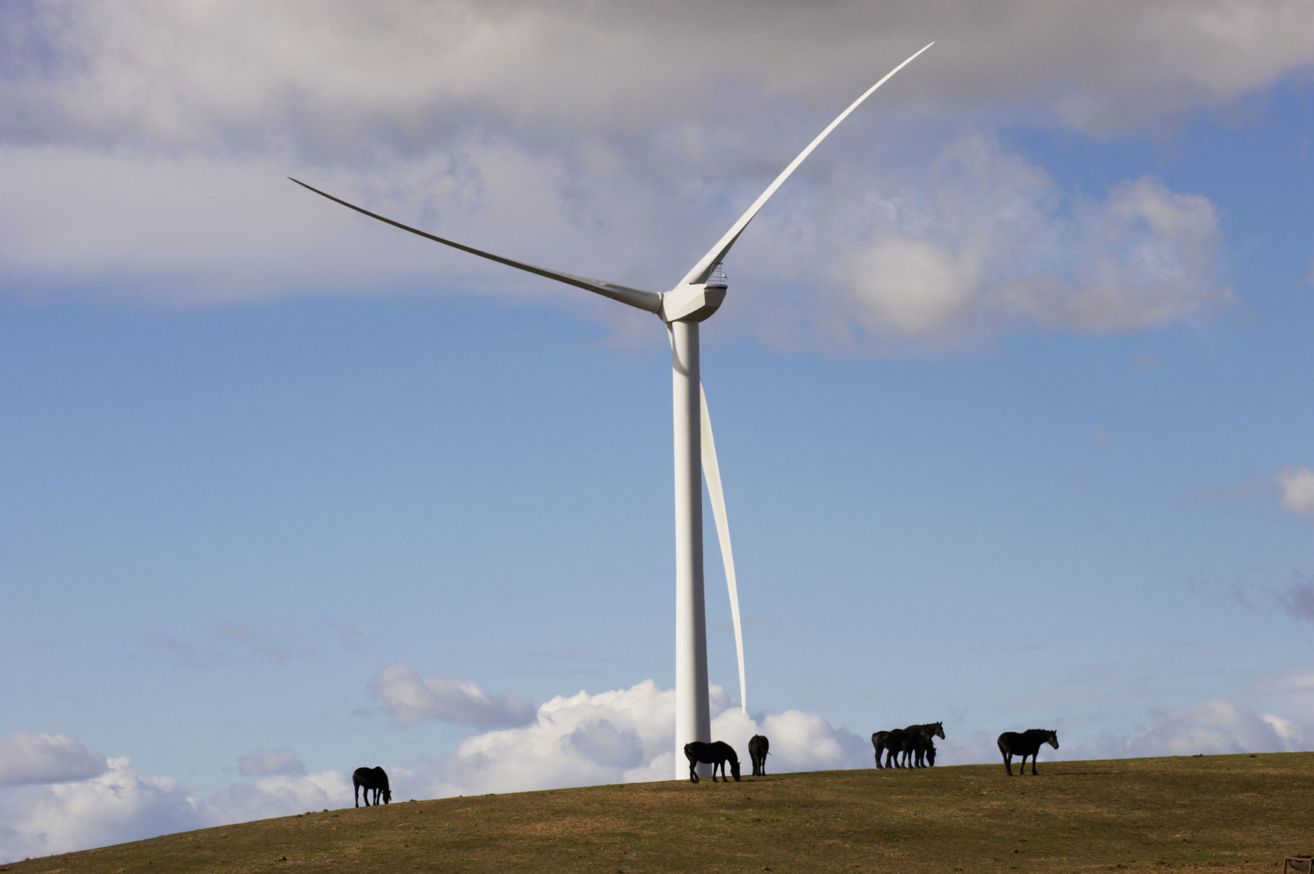 Wind Turbine Disposal and Recycling Strategies | ACP