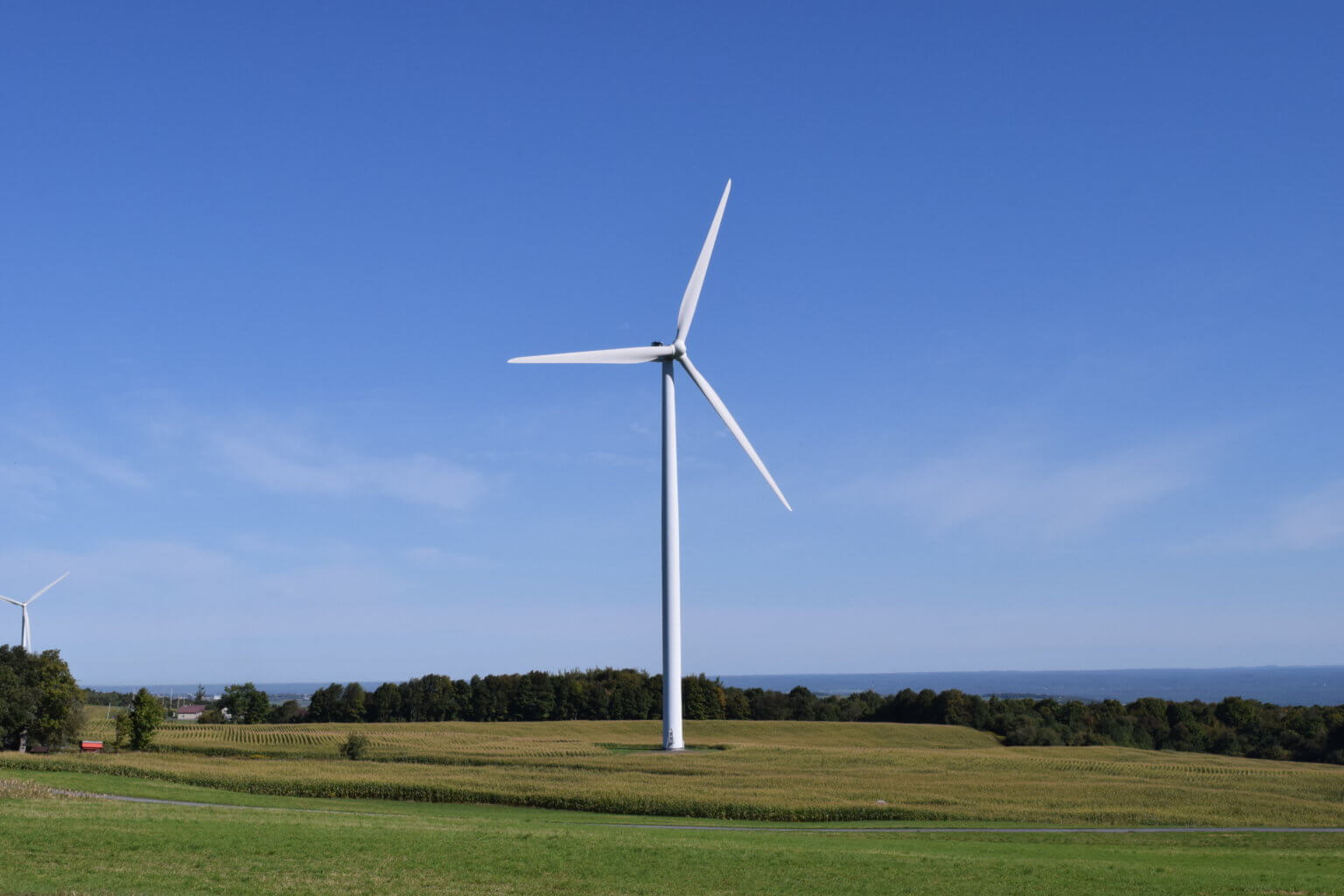 AWWI’s New Wind Energy and Wildlife Guide Educates Public on ...